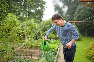 Human Services for a Good Life | Kirinari